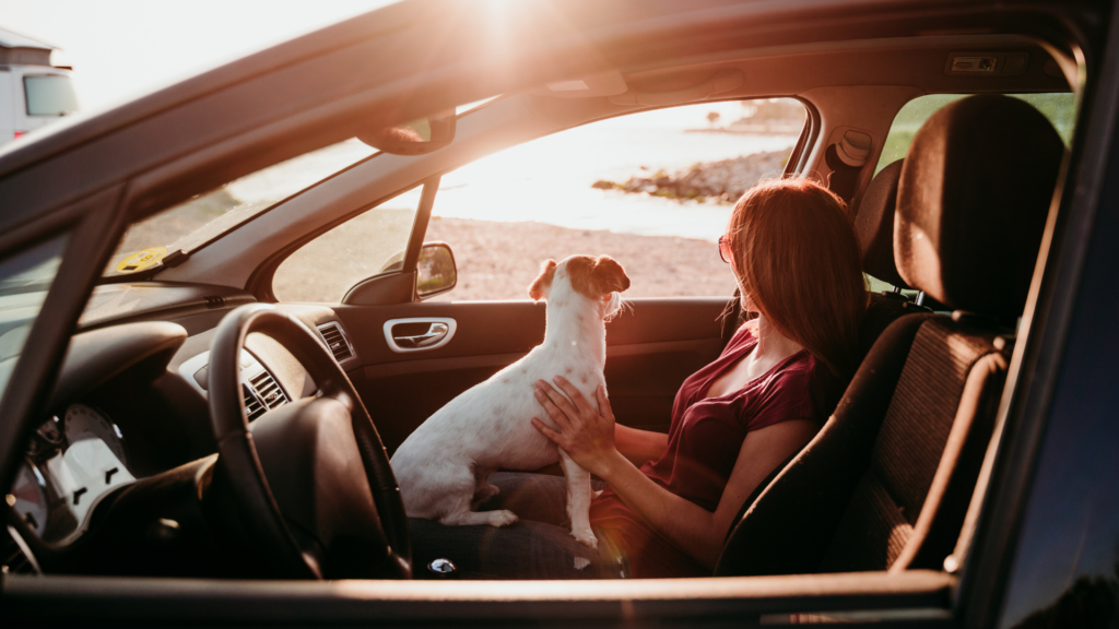 Why SESLOC - SESLOC Credit Union