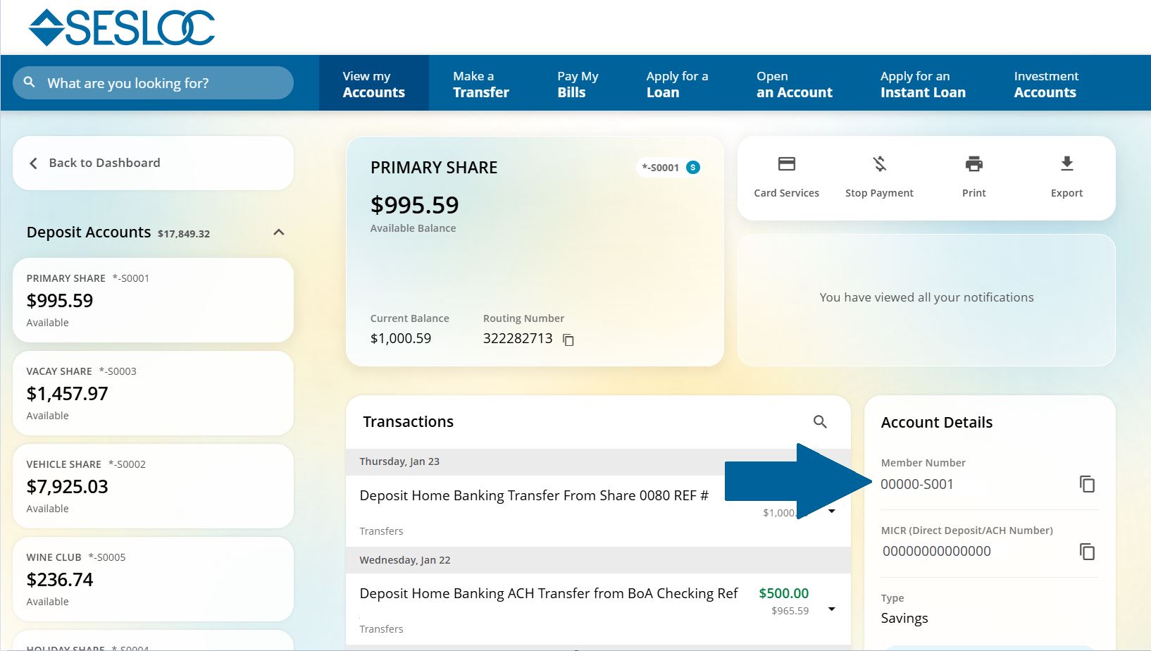 What's the Difference Between Member Number and Account Number ...